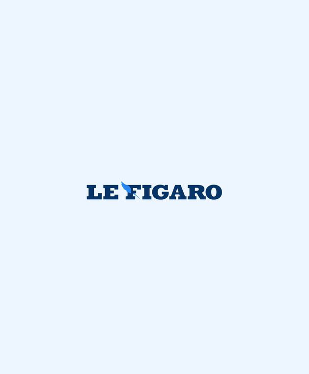 Figaro - Ch4 Systemes